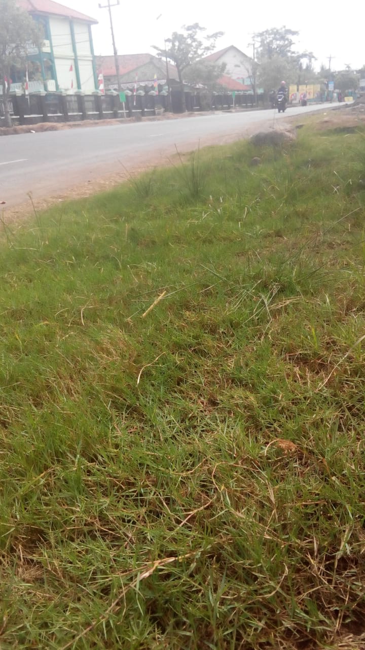 BABAT RUMPUT DI JALAN KUSUMA BANGSA - Dinas Pekerjaan Umum dan Penataan ...